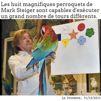 Mark Steiger, Ara Chloroptera